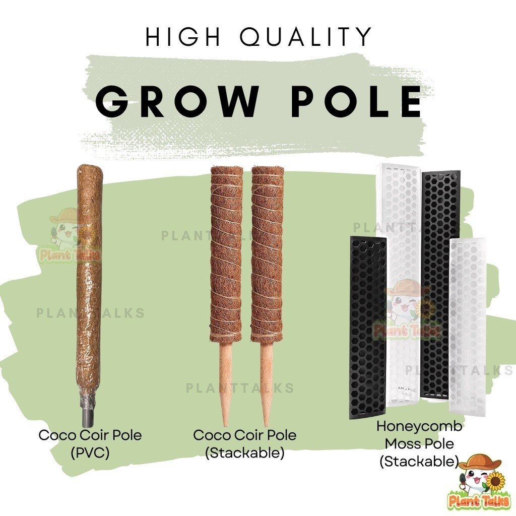 Plant Talks Coco Coir Grow Pole Honeycomb Moss Climbing Pole Plant ...