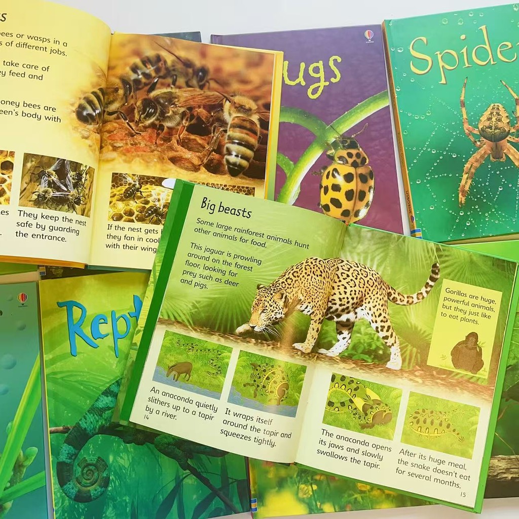 10 Books Usborne Beginners Nature Set | Insect, Flower, Spiders Facts ...