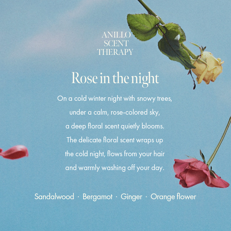 [ANILLO][Rosy Night] Repair Hair Shampoo + Ampoule Treatment + Hair ...