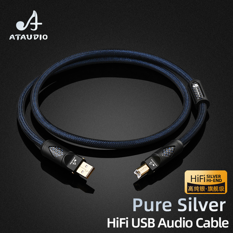 HiFi USB 2.0 Type A to B Audio Cable High Quality Pure Silver USB Cable ...