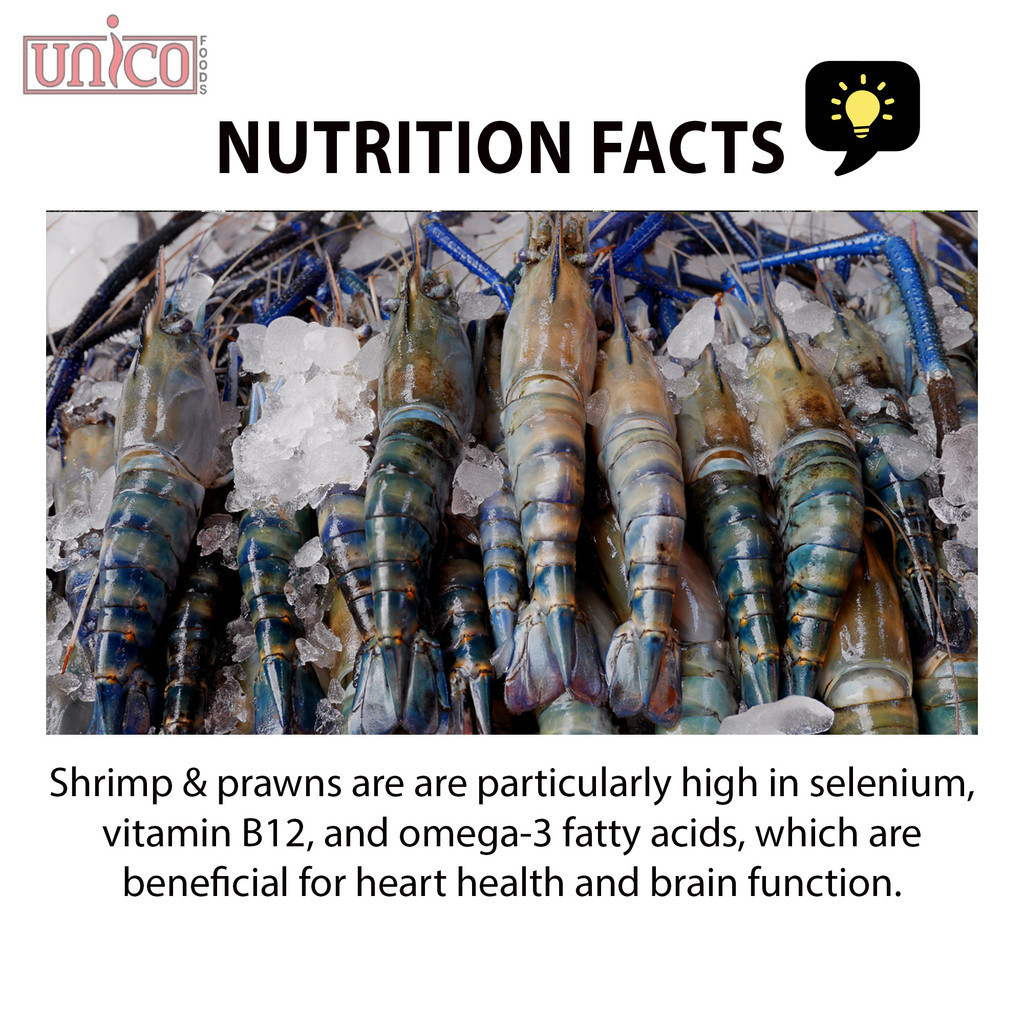 [UNICOFOODS] U10/ U15 Big Head Prawn (1kg) | 大头虾 | Shopee Singapore