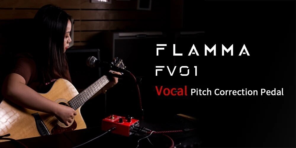Original FLAMMA FV01 FV02 FV03 FV04 FV05 Vocal Effects Processor Pitch ...