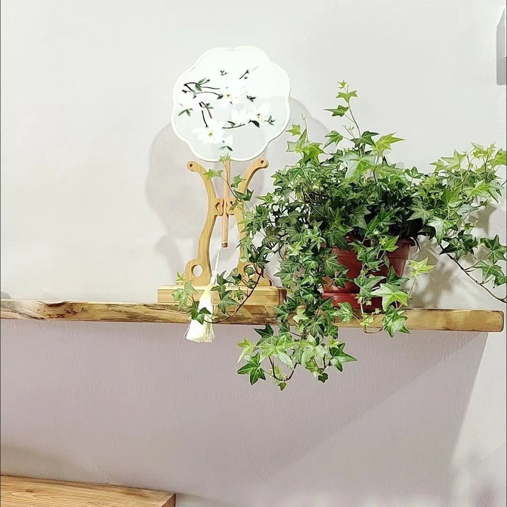 [48H Shipping] 92%Good Rating Solid Wood Shelf Natural Edge Whole ...