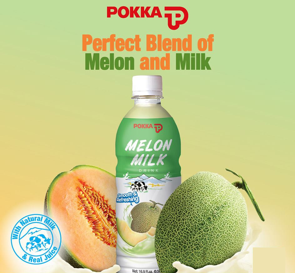 POKKA Melon Milk 240ML X 30 (CAN) | Shopee Singapore