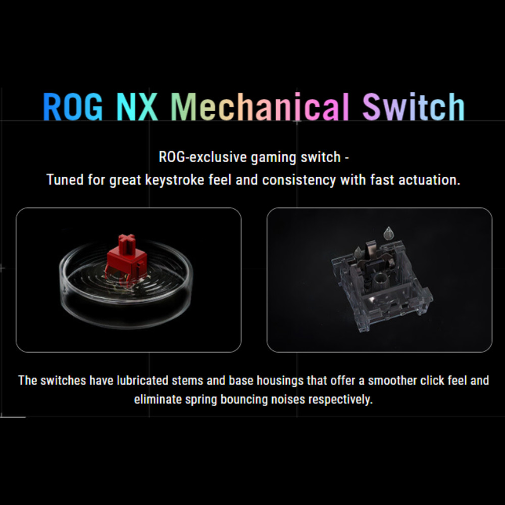 ASUS ROG NX Snow & Storm Switches 10pcs Pack - NX Snow (Thocky) / NX ...