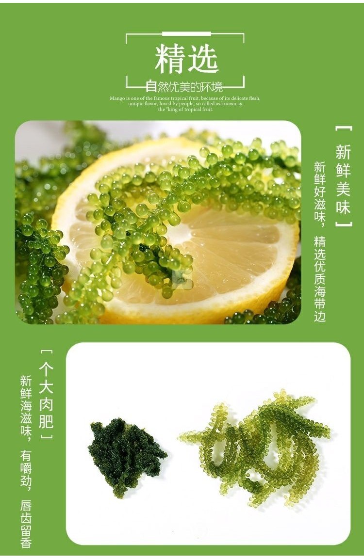 ZEJUN Salted Sea Grape 100g Kelp Shredded Fresh Instant Seaweed ...