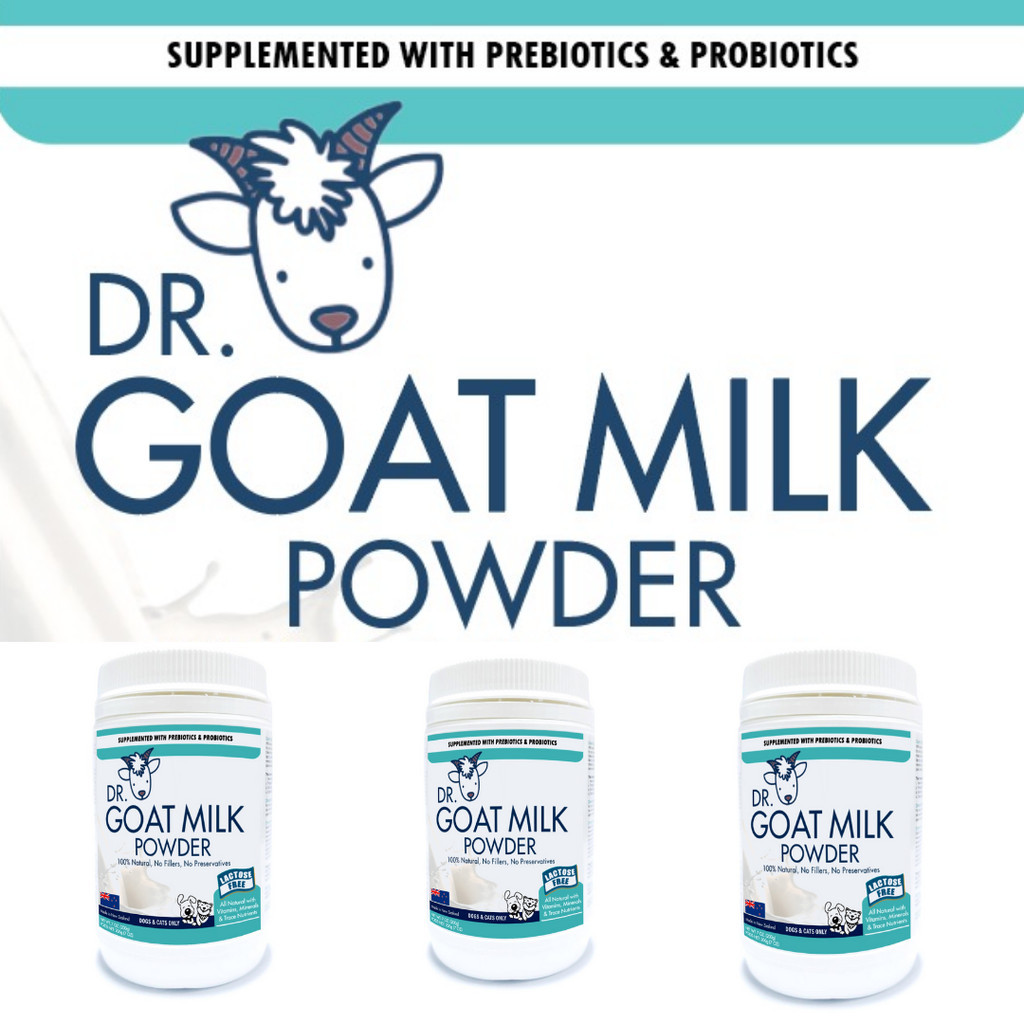 [BUNDLE OF 3] EXP DEC'26 Dr Goat Milk Powder 7oz - Lactose Free ...