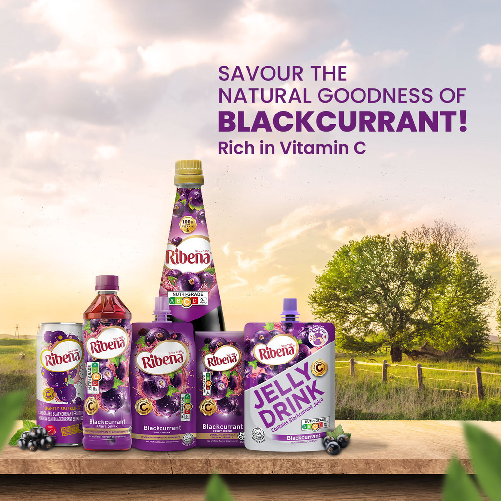 RIBENA Bottle/Cheerpack/Can/Tetra (24s) | Shopee Singapore