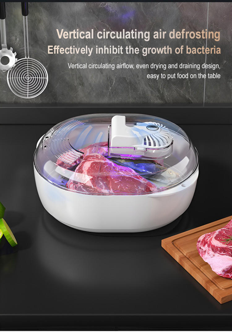 🔥SG Hot🔥【6-in-1 atomized quick thawing artifact】Defrost meat steak/heat ...