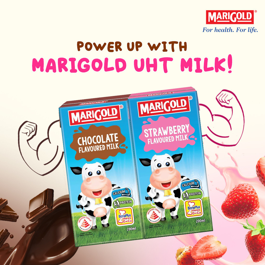 MARIGOLD UHT Strawberry Milk 200ML X 24 (TETRA) | Shopee Singapore