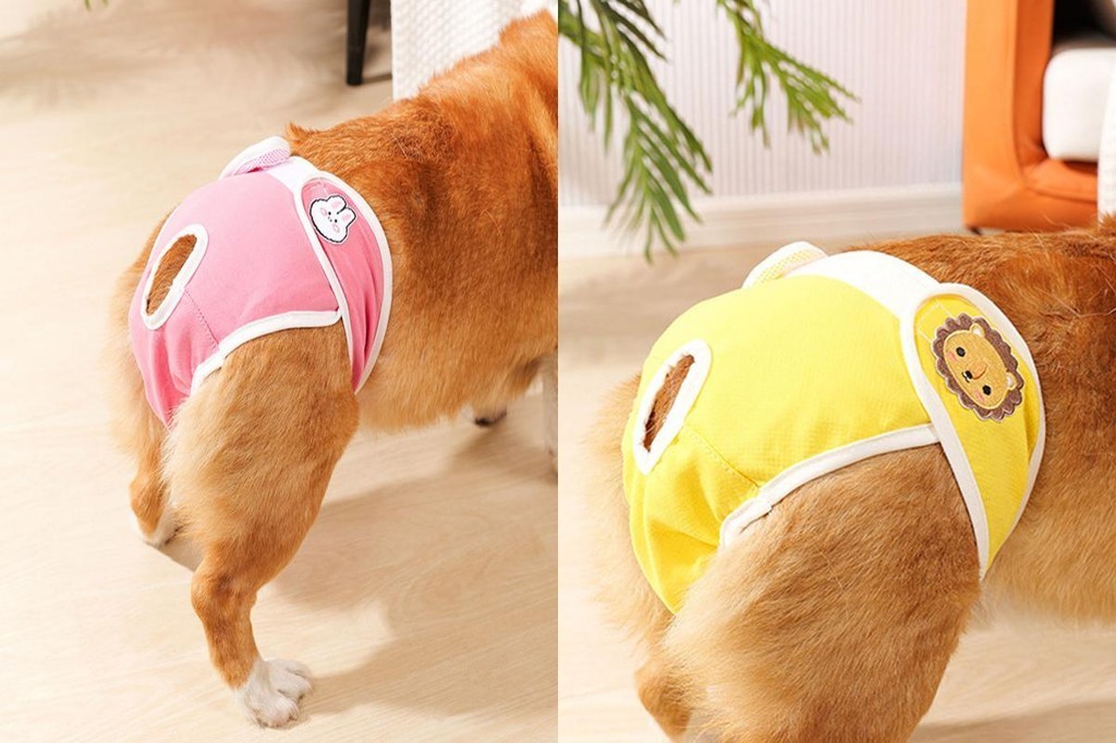 Heat Cycle Dog Diaper Washable Dog Diaper Breathable Female Dog Diapers ...