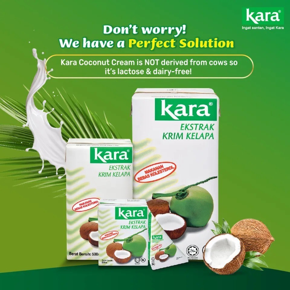 [CARTON] KARA Coconut Cream 1L X 12 (TETRA) | Shopee Singapore