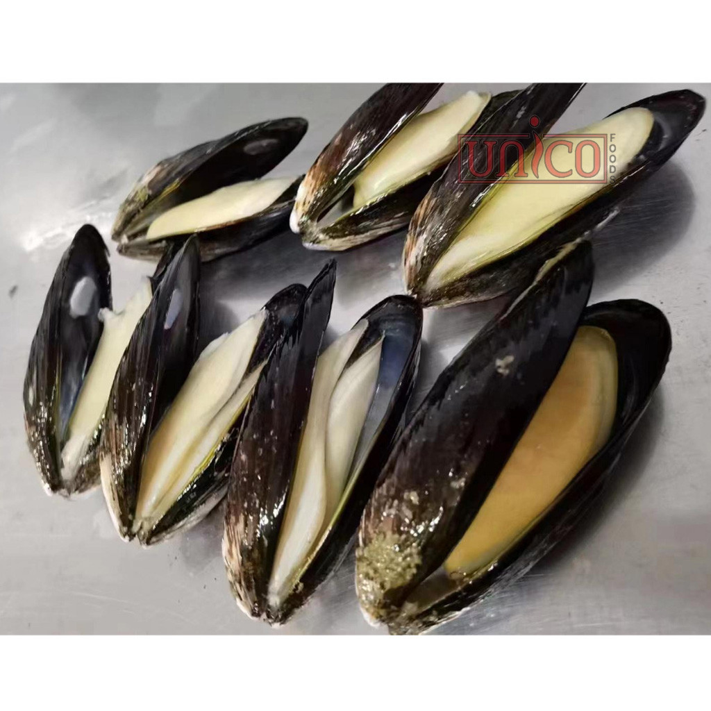 [UNICOFOODS] Frozen Whole Shell Blue Mussel (1kg) | Shopee Singapore