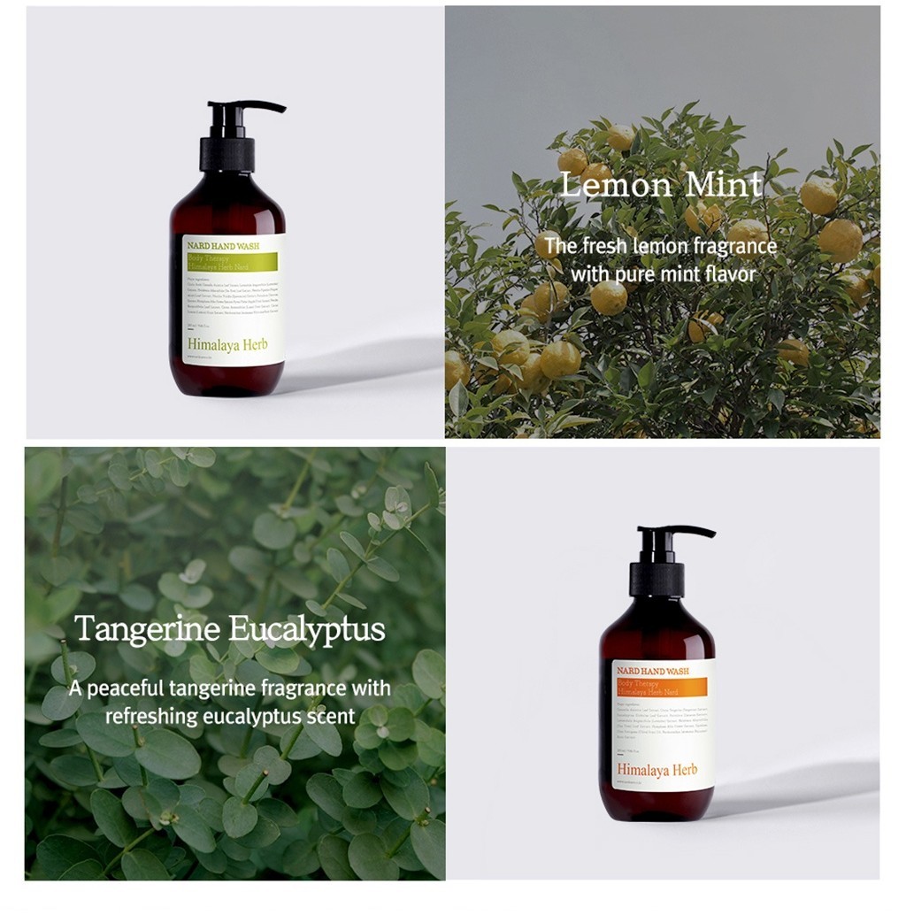 [NARD] Hand Wash, 280mlx3 - Antibacterial, Zero-Irritation | Shopee ...