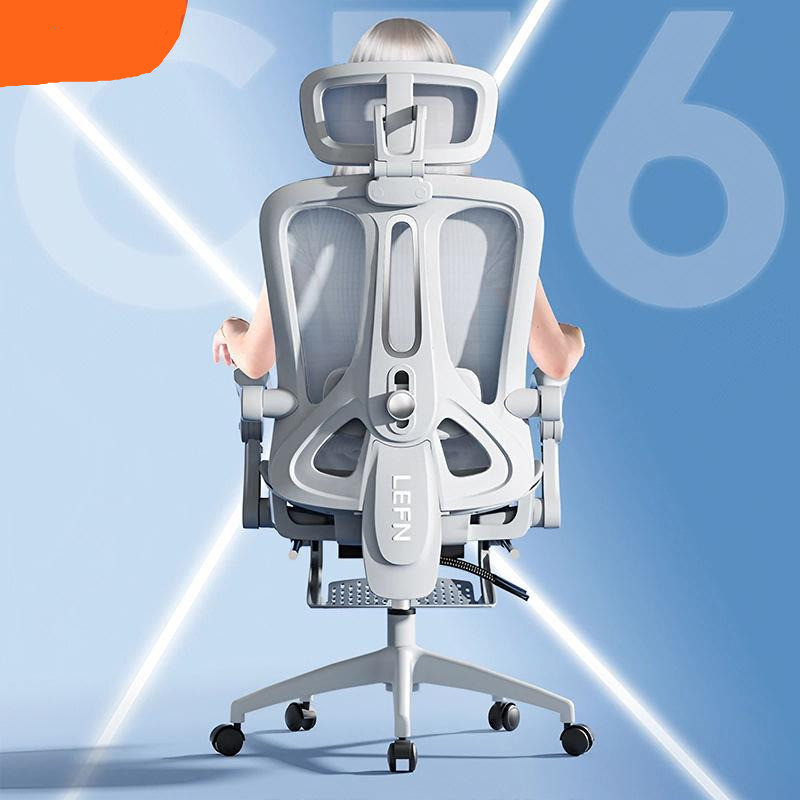 Lianfeng Computer Chair, Home Ergonomic Chair, Waist Protection ...