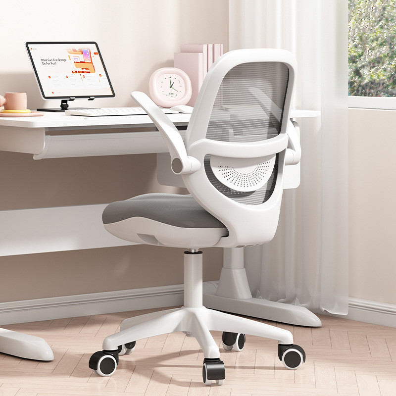 Computer chair, home office chair, adjustable swivel chair, ergonomic ...