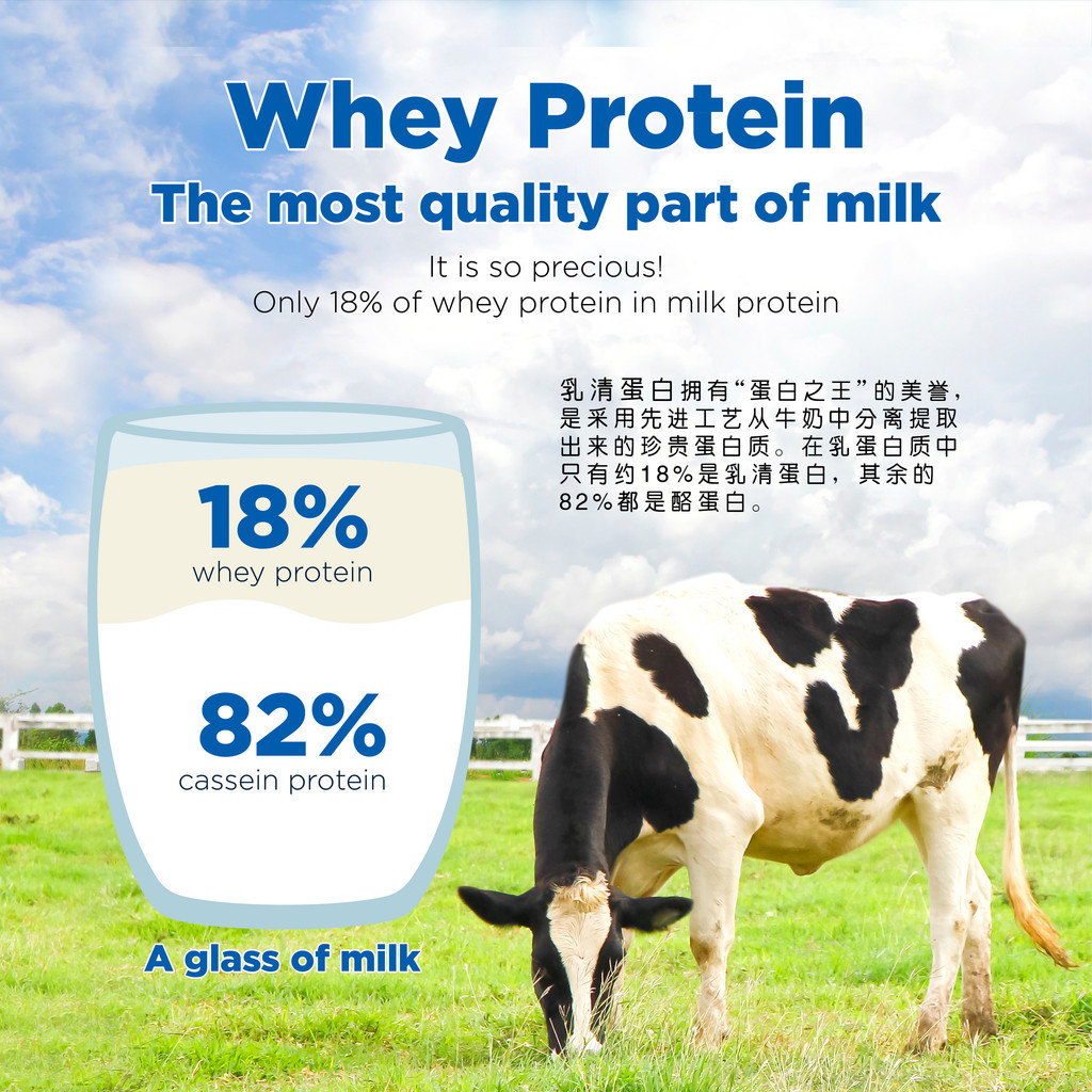 Alpro Pharmacy Exclusive - Metabolic + Oteine Premium New Zealand Whey ...