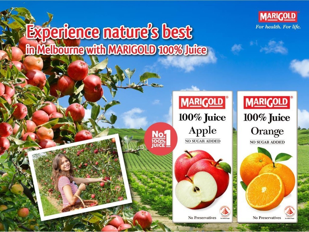 MARIGOLD 100% Orange Juice 200ML X 24 (TETRA) | Shopee Singapore