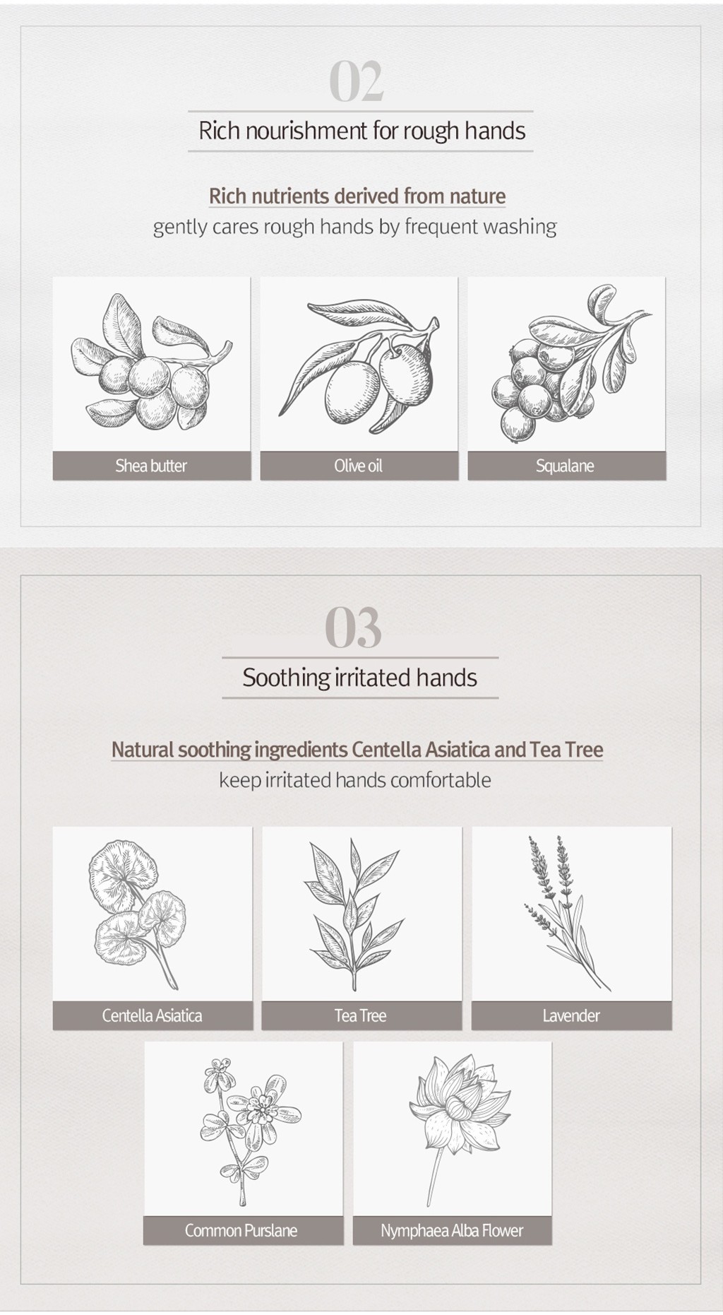 [NARD] Hand Wash, 280mlx3 - Antibacterial, Zero-Irritation | Shopee ...