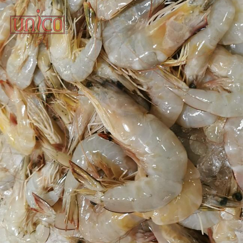 [UNICOFOODS] White Prawn (Ang Kar) Red Leg (1kg) | 红脚虾 | Shopee Singapore