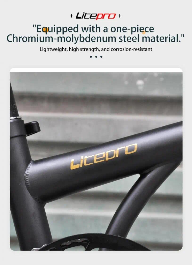 Litepro 20Inch External 9Speed Tri-fold Folding Bicycle Dual C Brake S ...