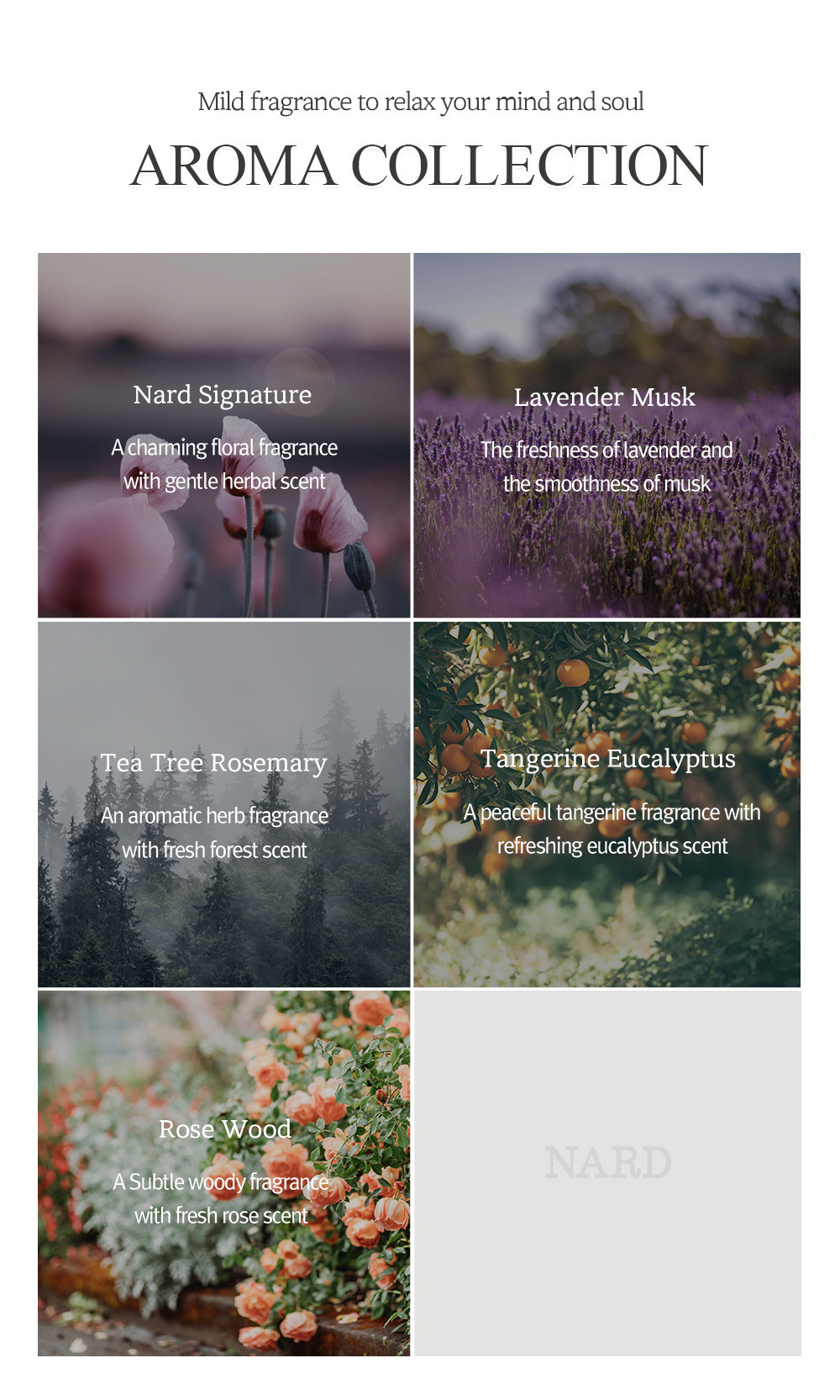 [NARD] Hair / Scalp Treatment / Conditioner for All Types, 500ml ...