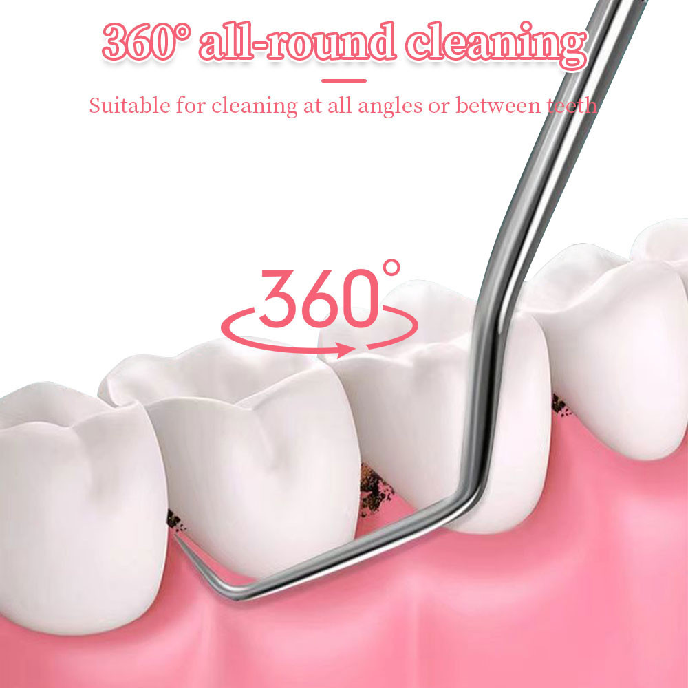 Stainless Steel Toothpick Set Reusable Toothpicks Tooth Flossing Tartar ...