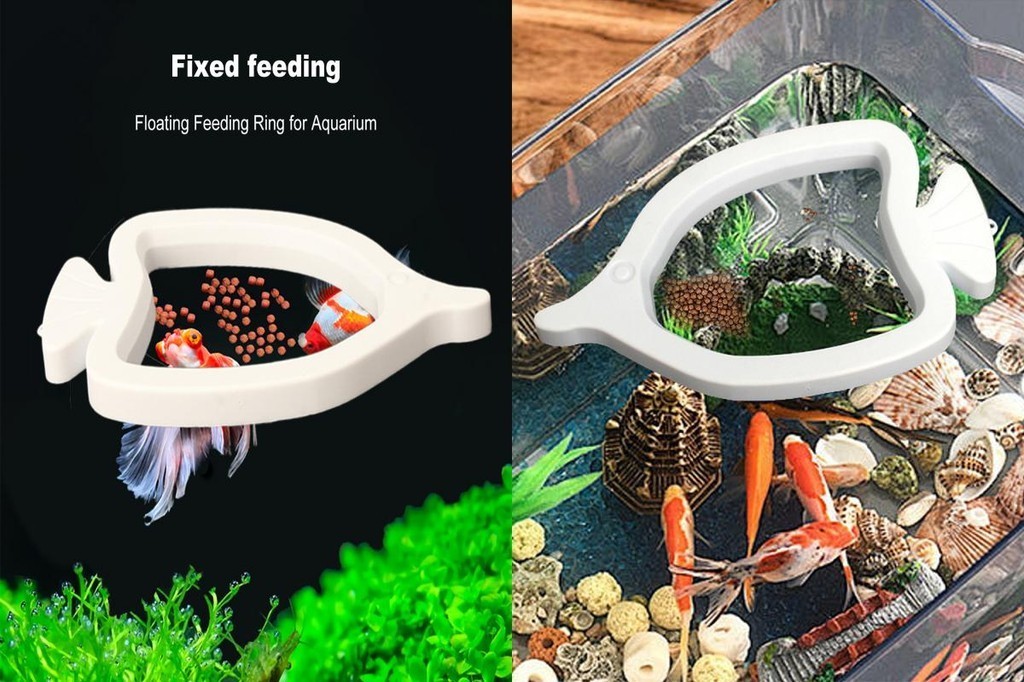livecity| Adjustable Floating Plant Fence Fish Tank Duckweed Control ...