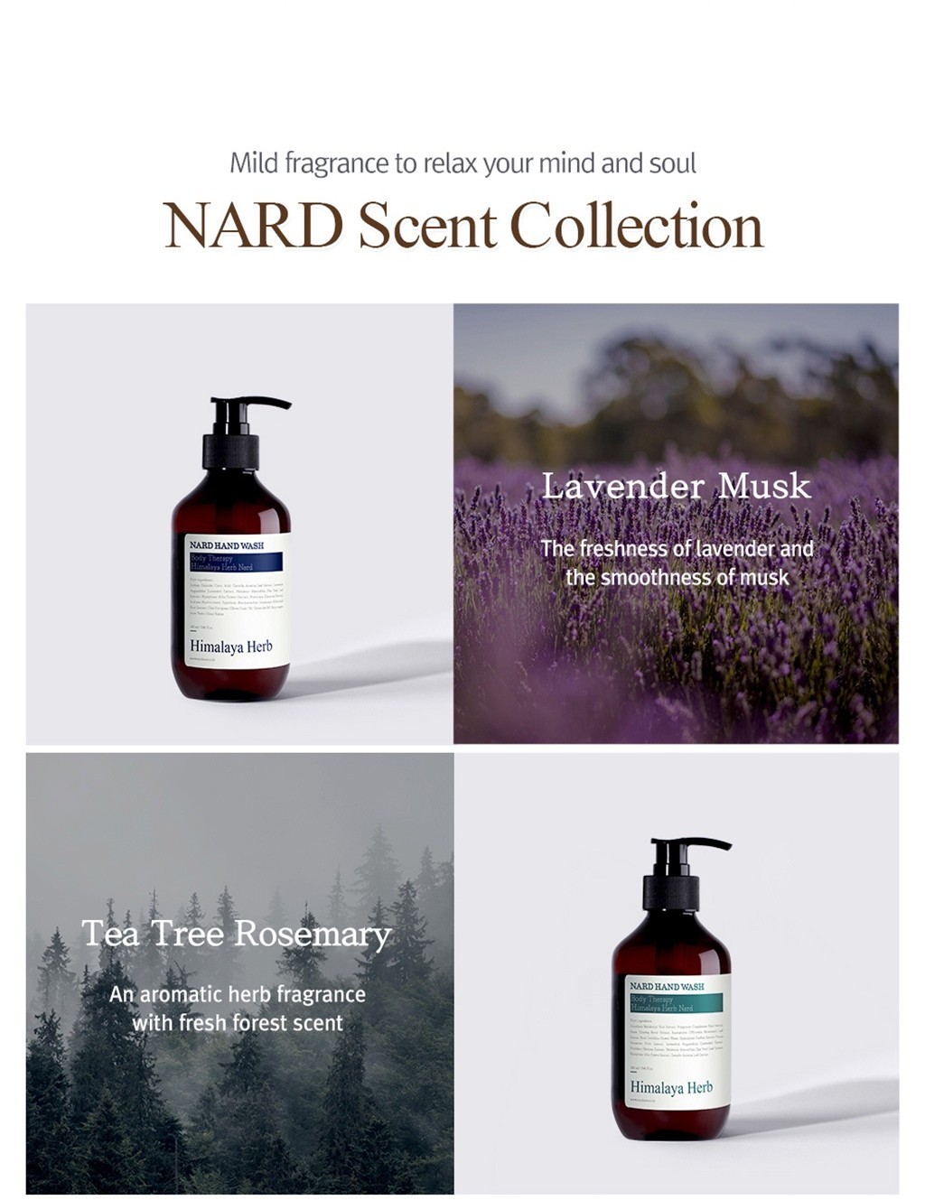 [NARD] Hand Wash, 280mlx3 - Antibacterial, Zero-Irritation | Shopee ...