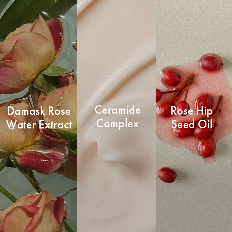 [ANILLO][Rosy Night] Repair Hair Shampoo (450ml) + Ampoule Treatment ...