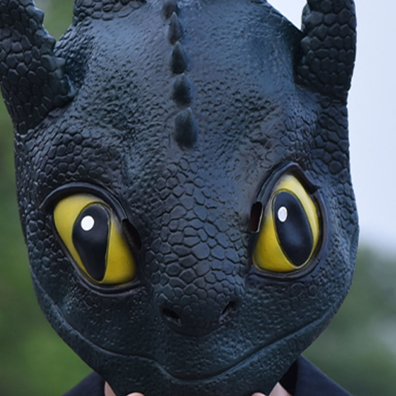 How to Train Your Dragon Manual Same Model Toothless Headgear Funny ...