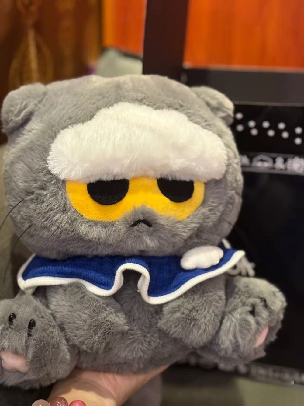 Kpop Idol G-DRAGON ZO&FRIENDS Plush ZOA Grey Cat Doll GD | Shopee Singapore