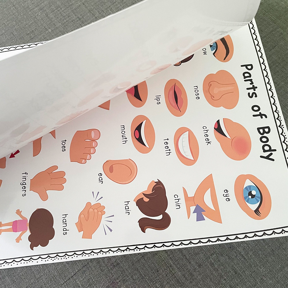 2 pcs Educational Posters,learning Body Parts Posters for kid,Preschool ...