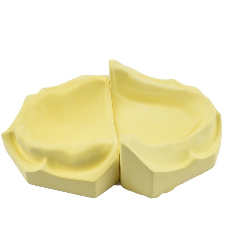 Dental Material Dentures Standard Plaster Model Have Teeth Toothless ...