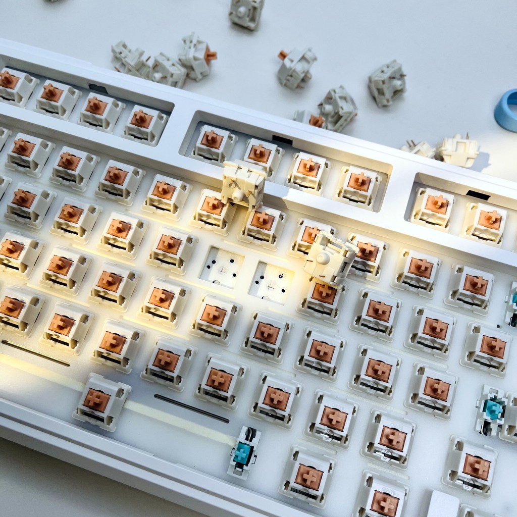 MMD Holy Panda V2 Prelubed Switch Tactile Switch 55g POM Switch ...