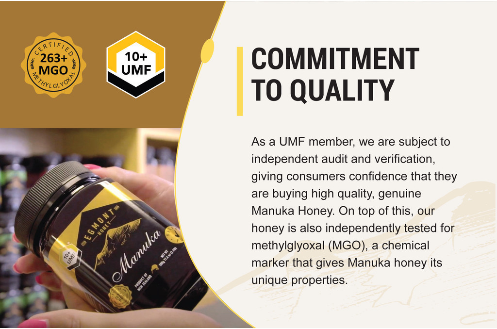 Egmont UMF 15+ Manuka Honey 500g/1kg | Shopee Singapore