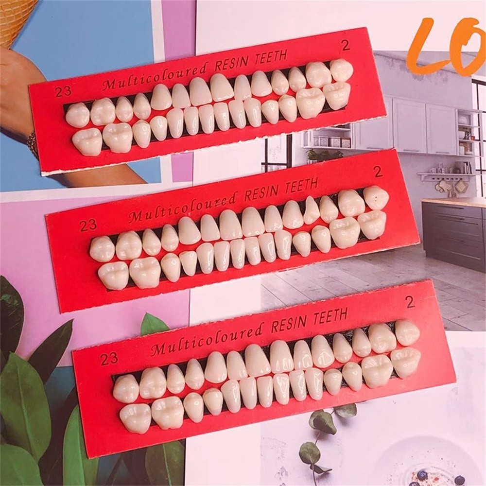 Acrylic Denture Resin Teeth Upper Lower Shade False Teeth Whole Teeth ...