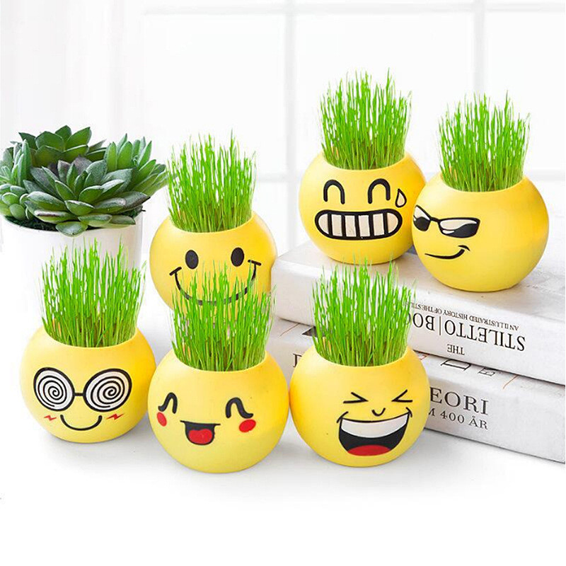 Grass Head Doll Office Mini Plants Small Potted Plants Green Grass ...