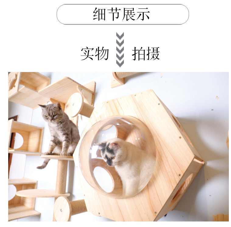 Cat Climbing Frame Wall-Mounted Solid Wood Cat Springboard Wall-Mounted ...