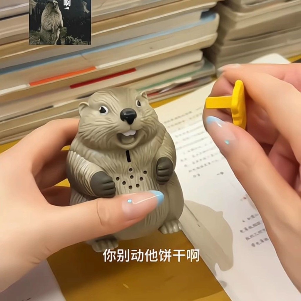 Funny Screaming Marmot Sound Toy Stress Relieving Toys groundhog ...