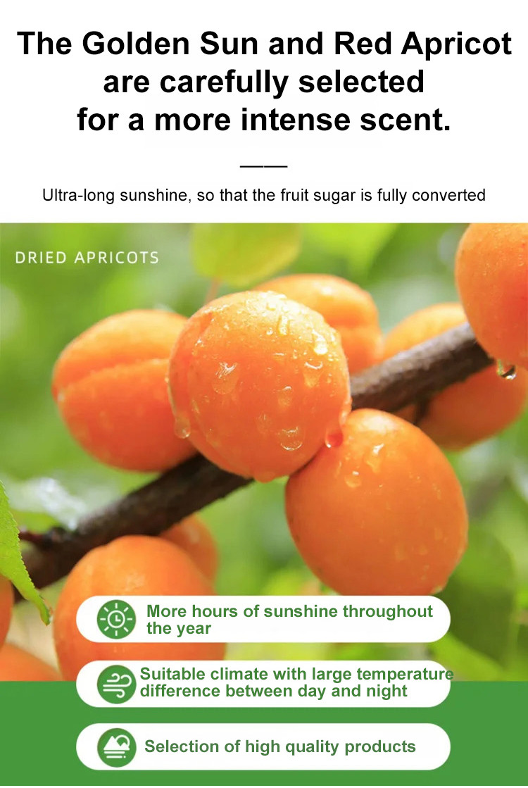 【Ship in 24H】[Sweet and Soft]Additive-Free Pitted Dried Red Apricots ...