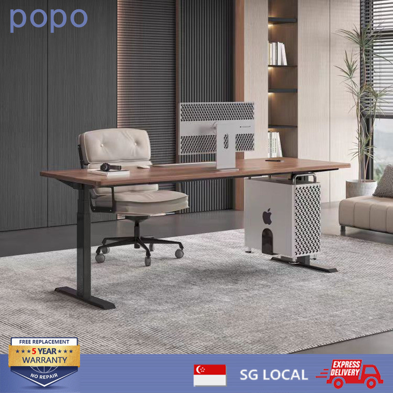 POPO Computer Desk Study Table Smart Ergonomic Standing Electric Height ...
