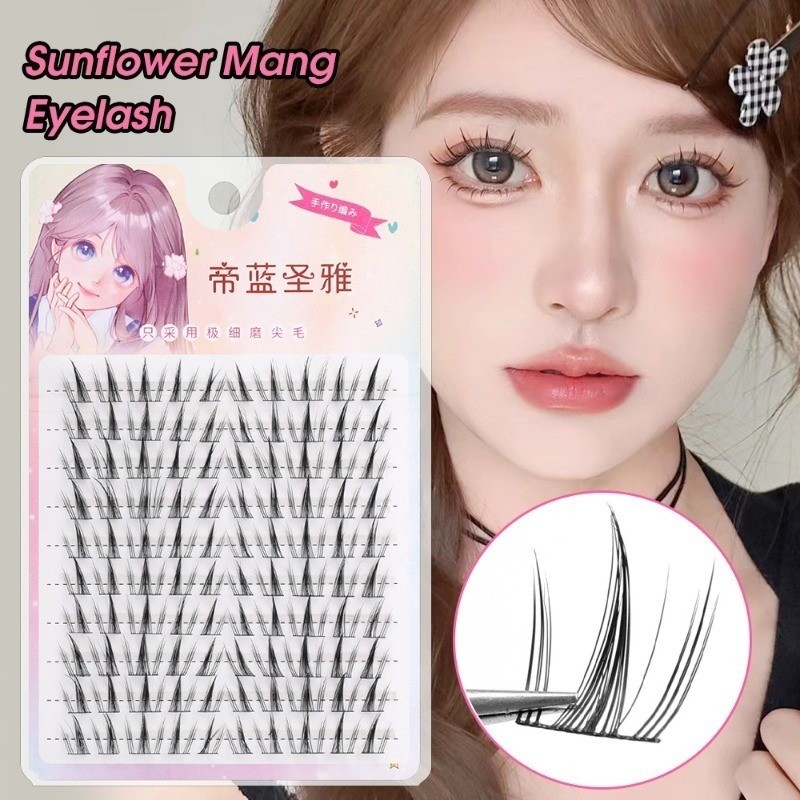 Single Cluster Segmented False Eyelashes - Beauty Makeup Lashes ...