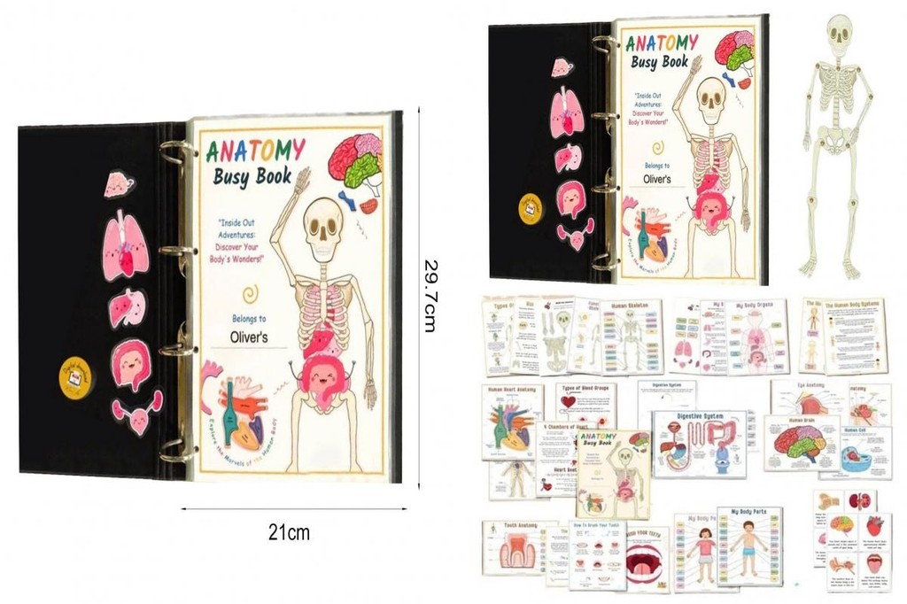 Educational Human Body Book Kids Anatomy Busy Book Interactive Anatomy ...