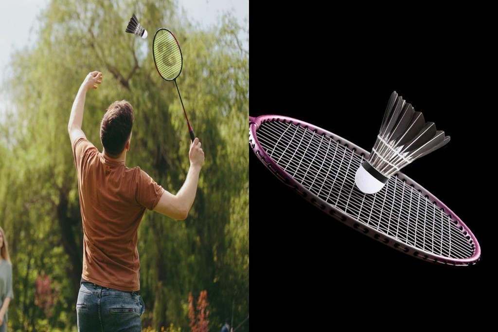 yuanzhen Premium Badminton Shuttlecock Stable Flight Badminton Shuttle ...