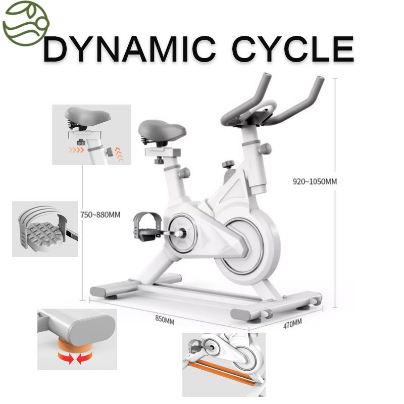 SAD Spin Bike Spinning Gym Magnetic Dynamic Home Equipment Complete Set ...