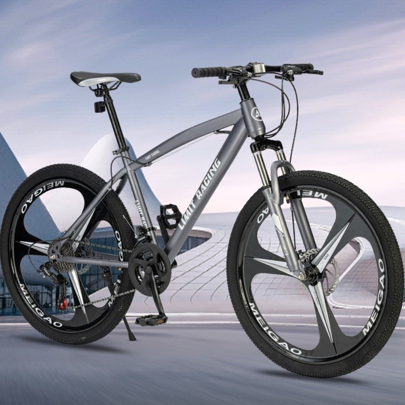 Magnesium Alloy Bicycle Variable Speed Mountain Bike Integrated Wheel ...