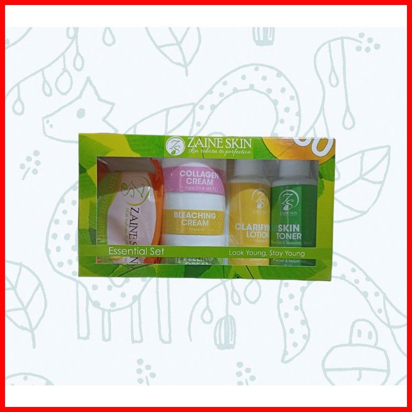 Zaine Skin Basic Set (small set) | Shopee Singapore