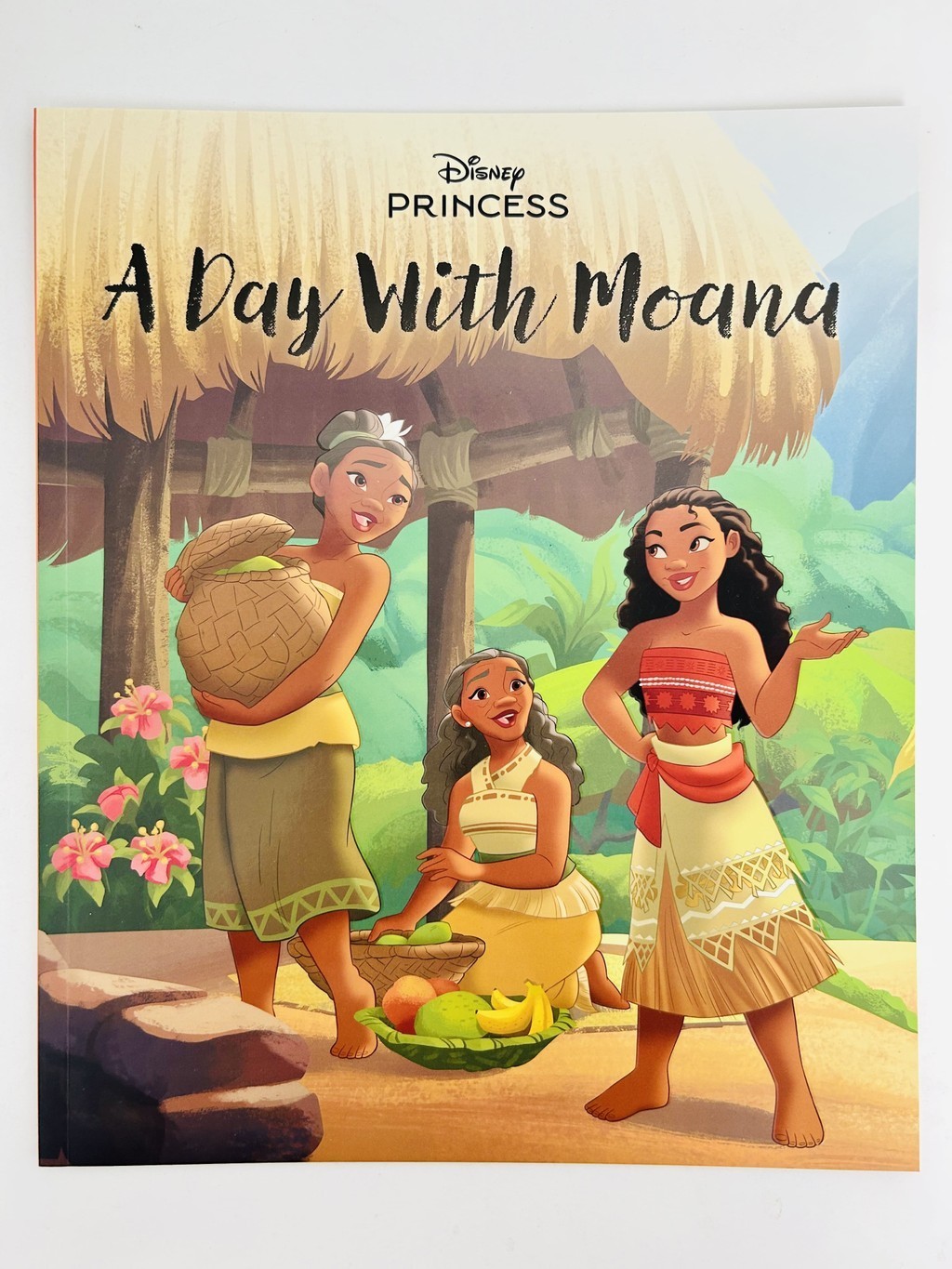 Disney Princess A Day With Moana Picture Story Book For Kids Easy To ...