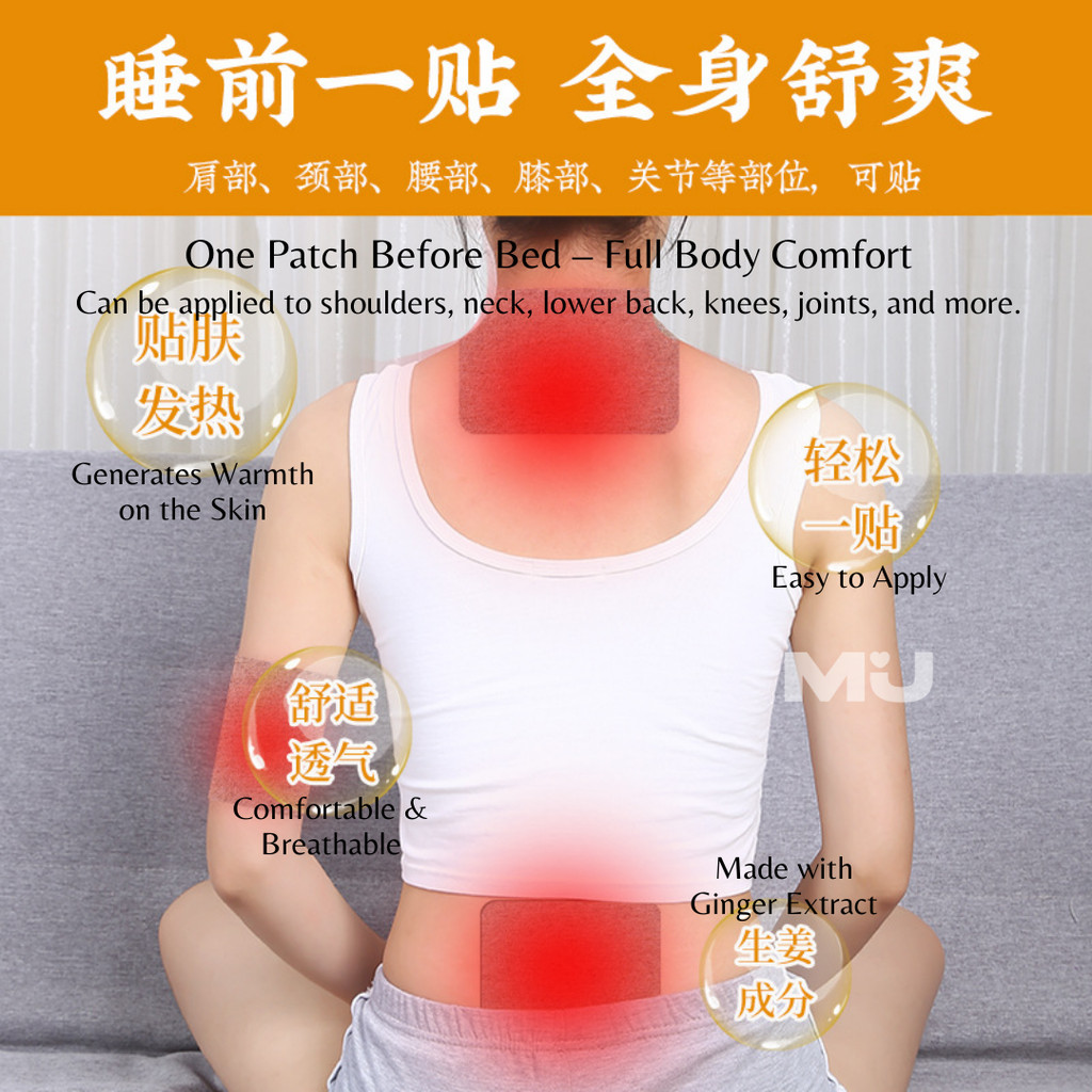 12pcs/box Ginger Mugwort Warm Patch Herbal Joint Muscle Pain Relief ...